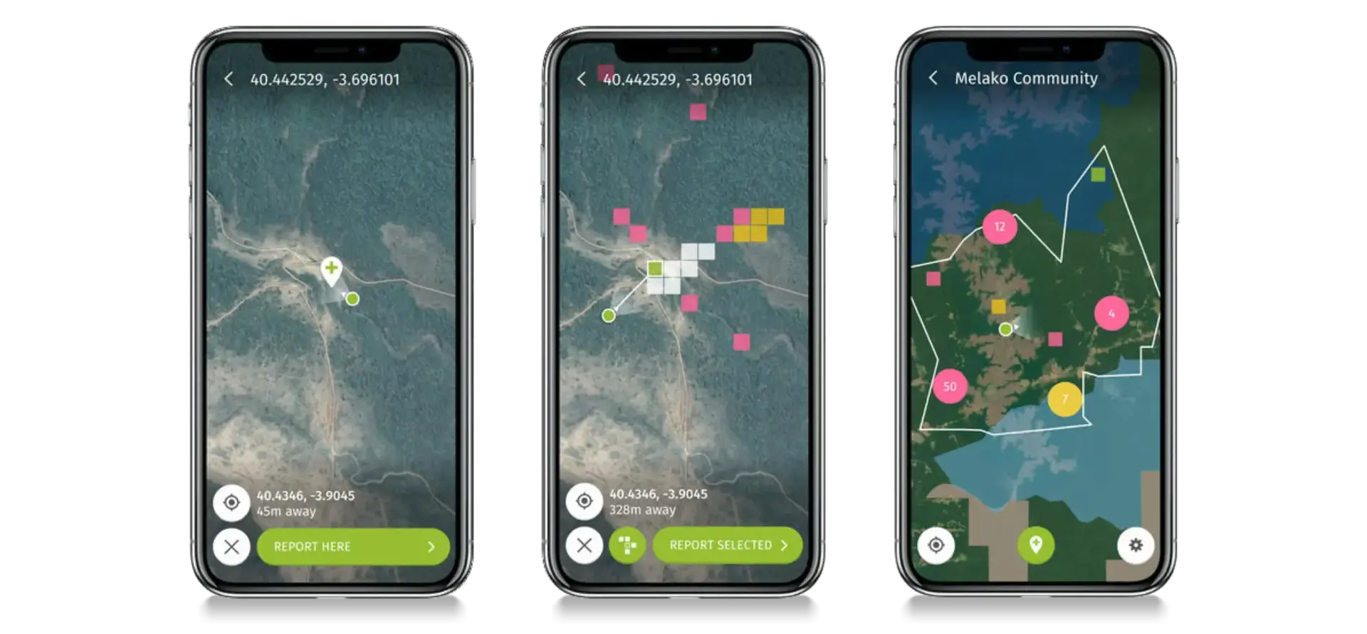 A Conservation App to Save our Forests | 3 Sided Cube